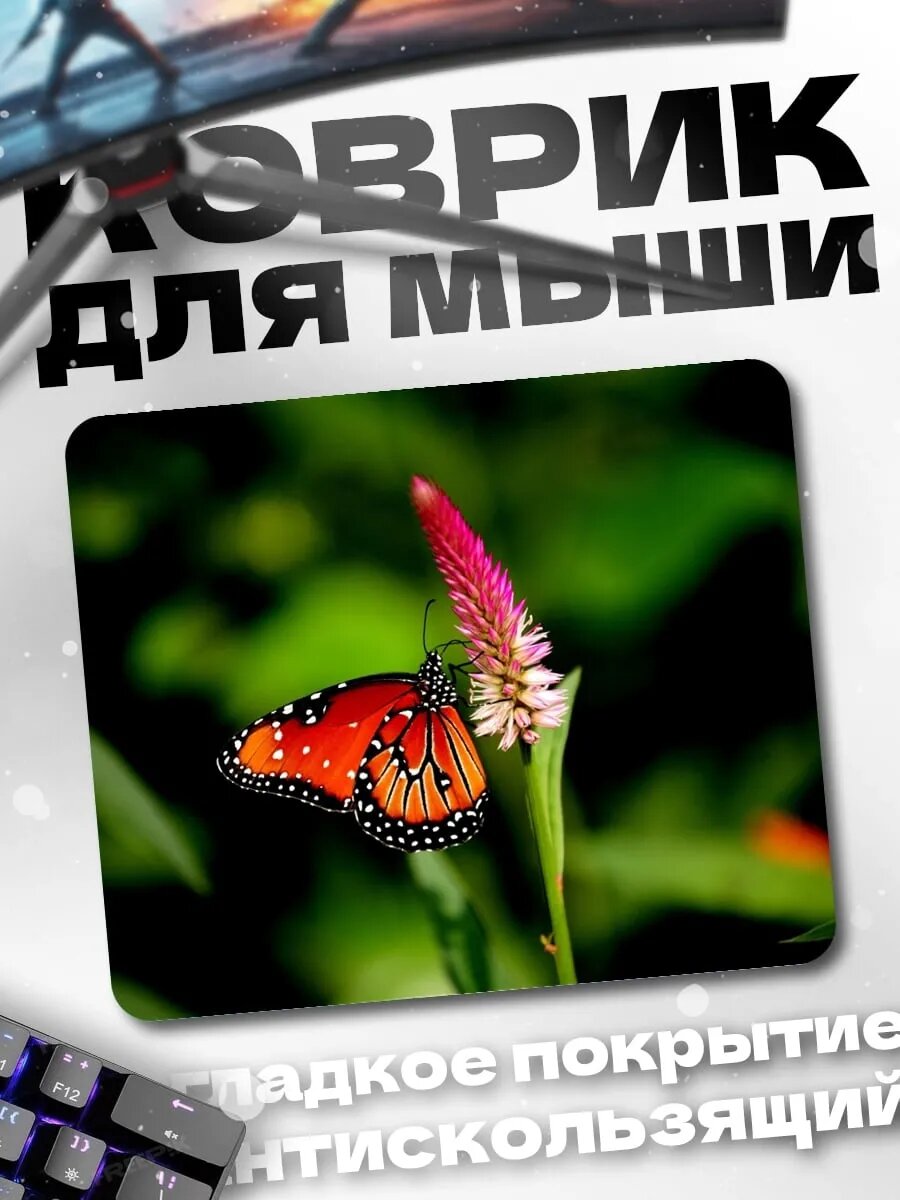Коврик для мыши Оранжевая бабочка на цветке