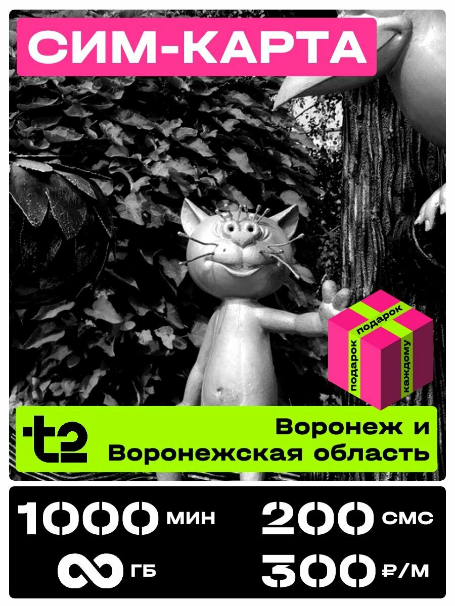 Сим карта теле 2 с безлимитным интернетом. t2 SIM-карта тариф Партнер М Воронежская область. 1000 минут за 300 рублей в месяц.