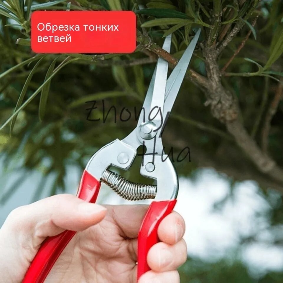 Секатор