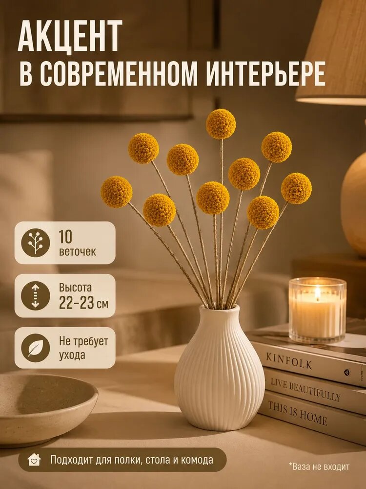 Сухоцветы Краспедия, 23 см, 230 гр, 10 шт