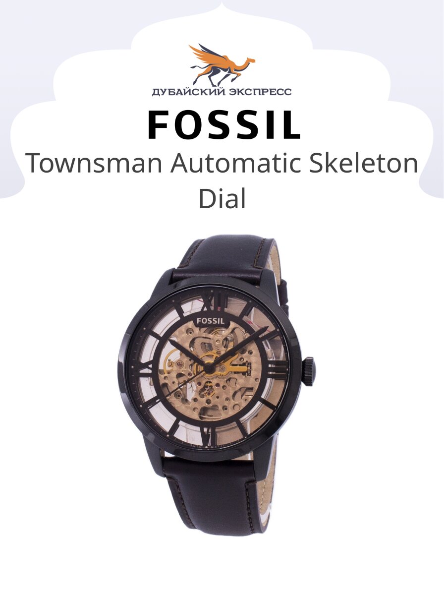  FOSSIL