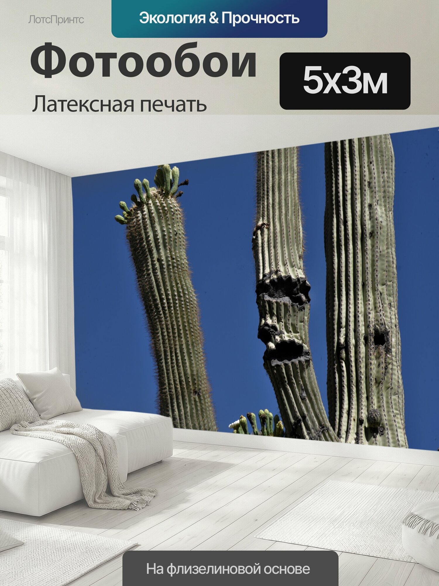 Фотообои моющиеся ударопрочные "Saguaro Face Сагуаро кактус в пустыне Аризоны сагуаро кактус лицо юмористический вырез естественный настоящий." 500x300 см. латексная печать