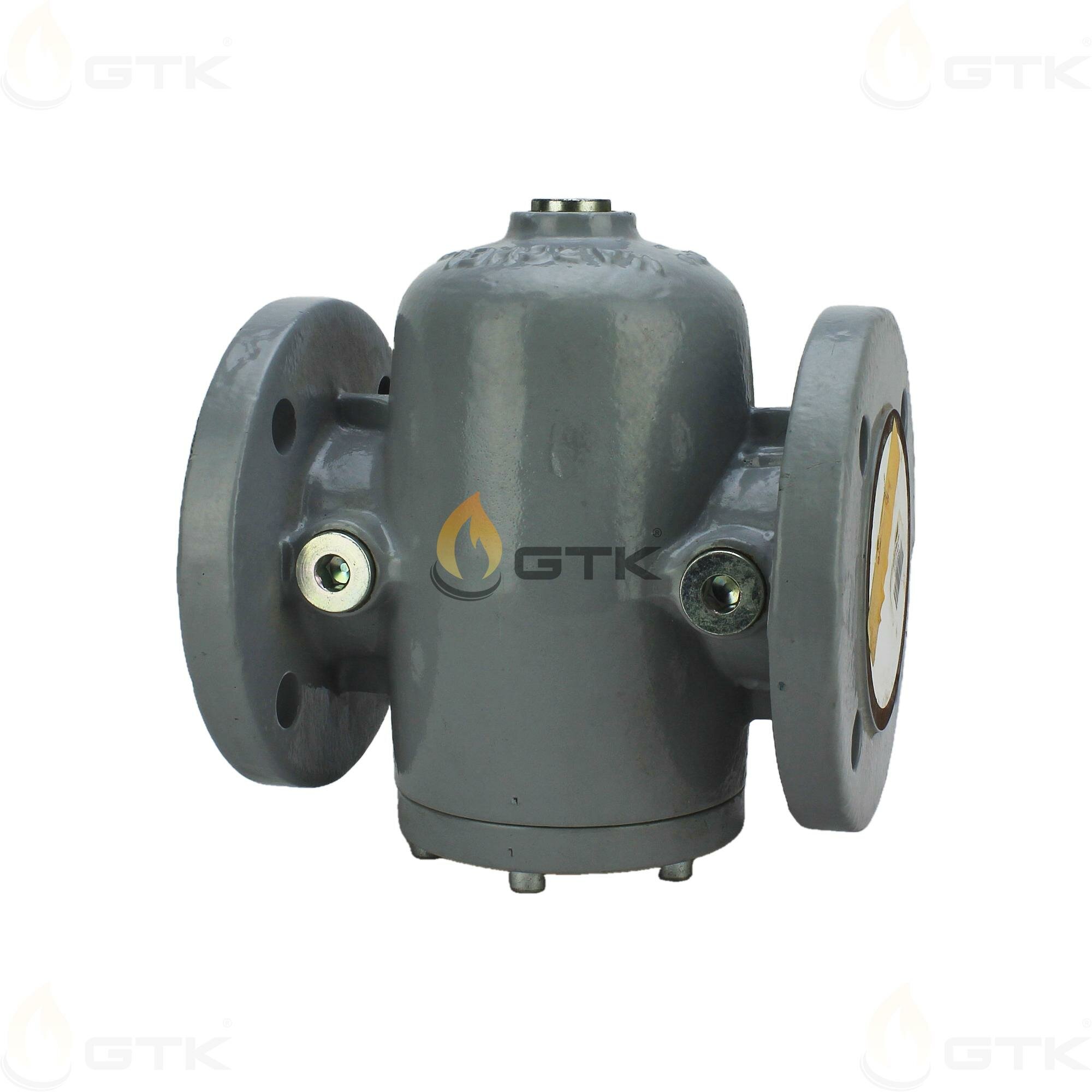 Фильтр Weishaupt типа 50/21/16, DN50 PN16, 493505