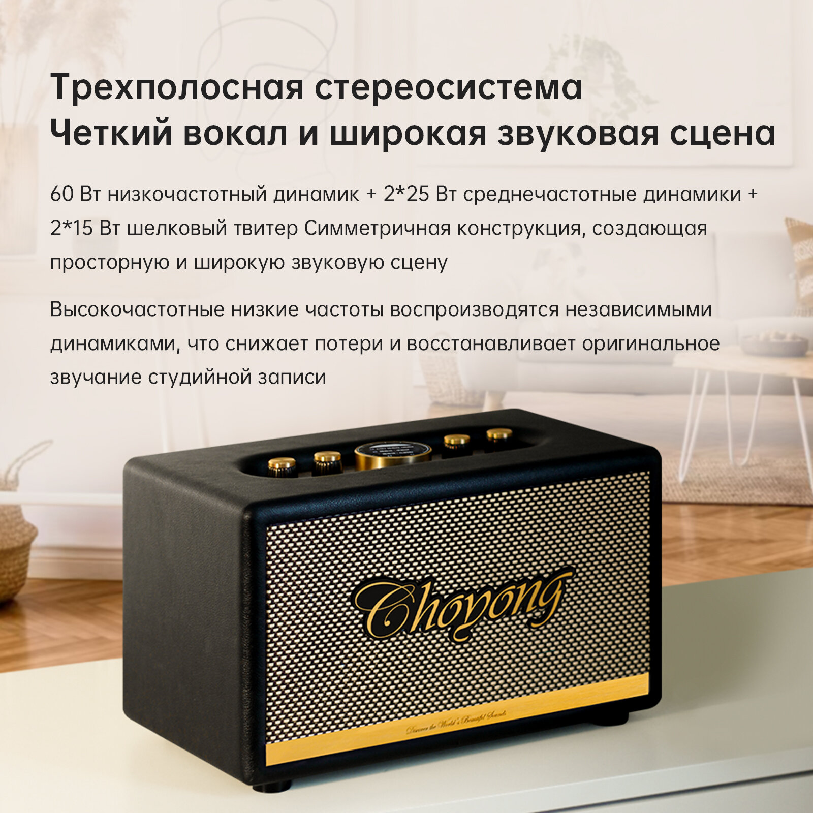 Динамик Choyong Maestro, 3-полосная система, Bluetooth, Wi-Fi, интернет-радио, Global Station