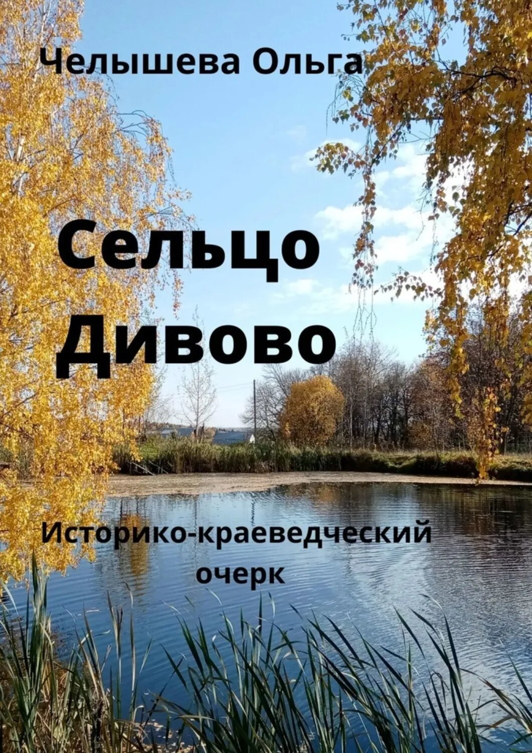 Сельцо Дивово. Историко-краеведческий очерк [Цифровая книга]