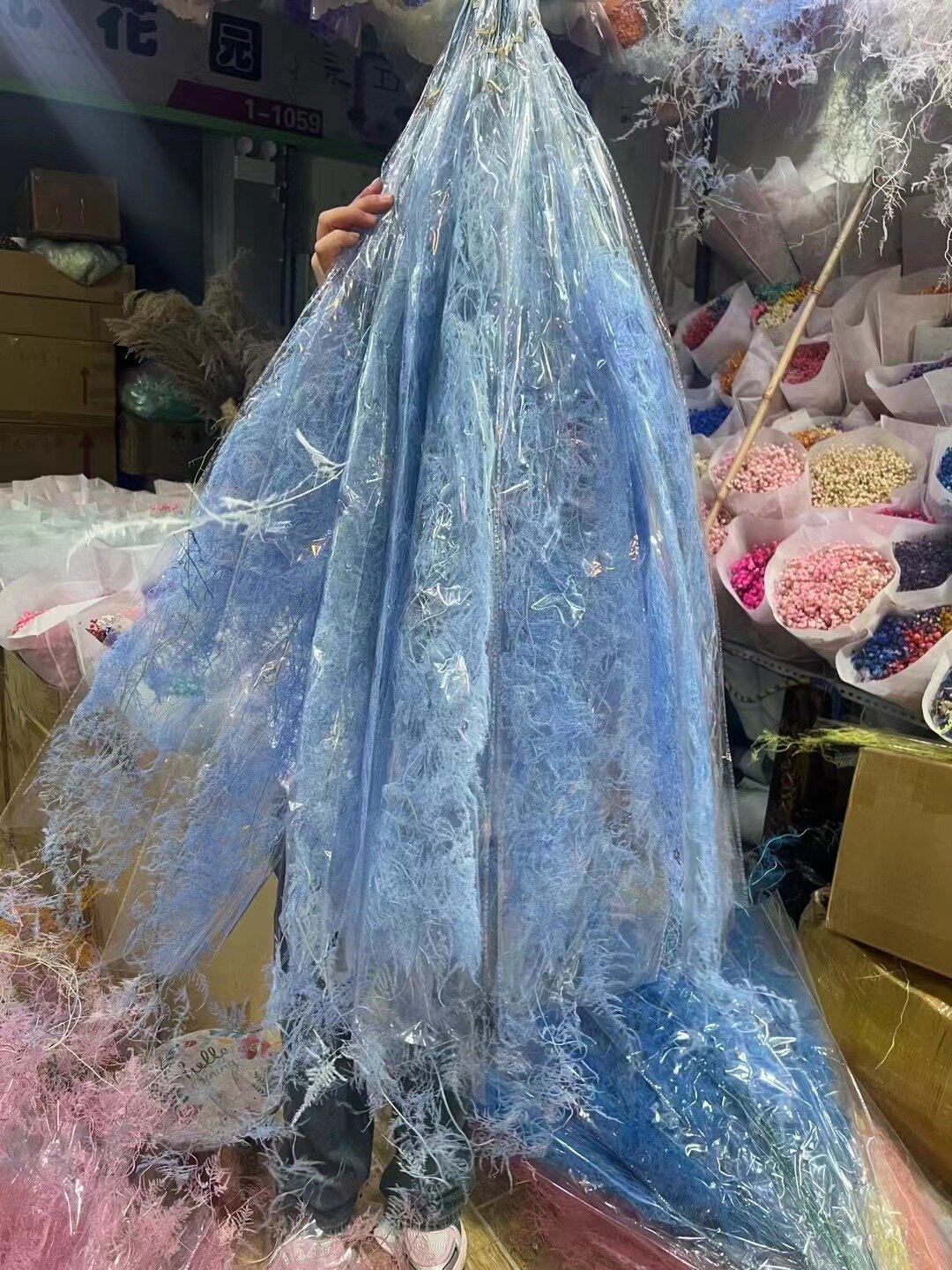 2025 Вечный цветок аспарагус, сушеный цветок, настоящий цветок, домашний декор, свадебная композиция, мягкий декор, флористическое искусство, прессованный цветок