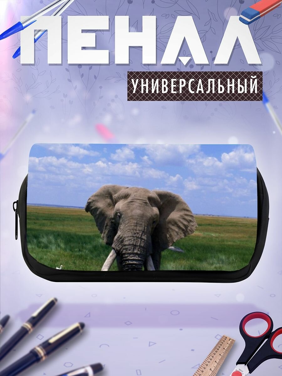 Школьный пенал Слон индийский слон