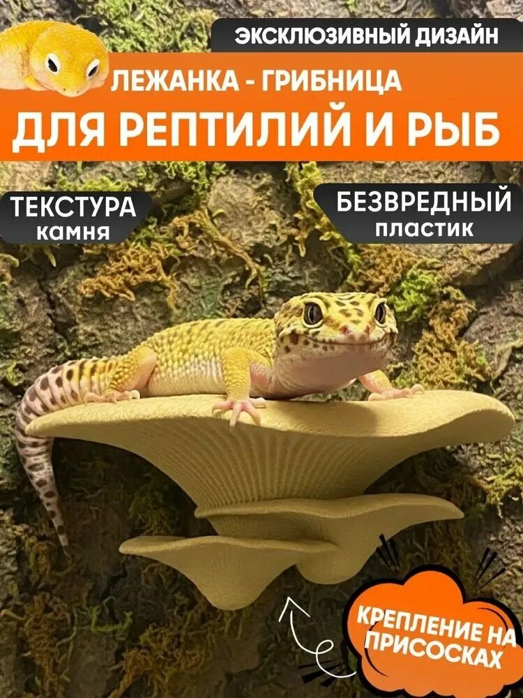 Фон для террариума, коврик для рептилий, лежанка для эублефара, бананоеда / Декорация для террариума