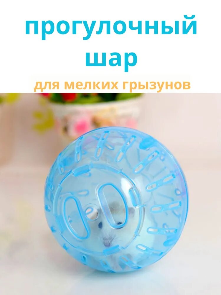 Прогулочный Шар для Грызунов, Интерактивный, для Хомяков, для Самостоятельных Игр, Голубой