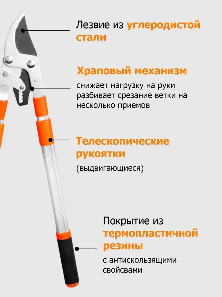 Сучкорез — фото 1