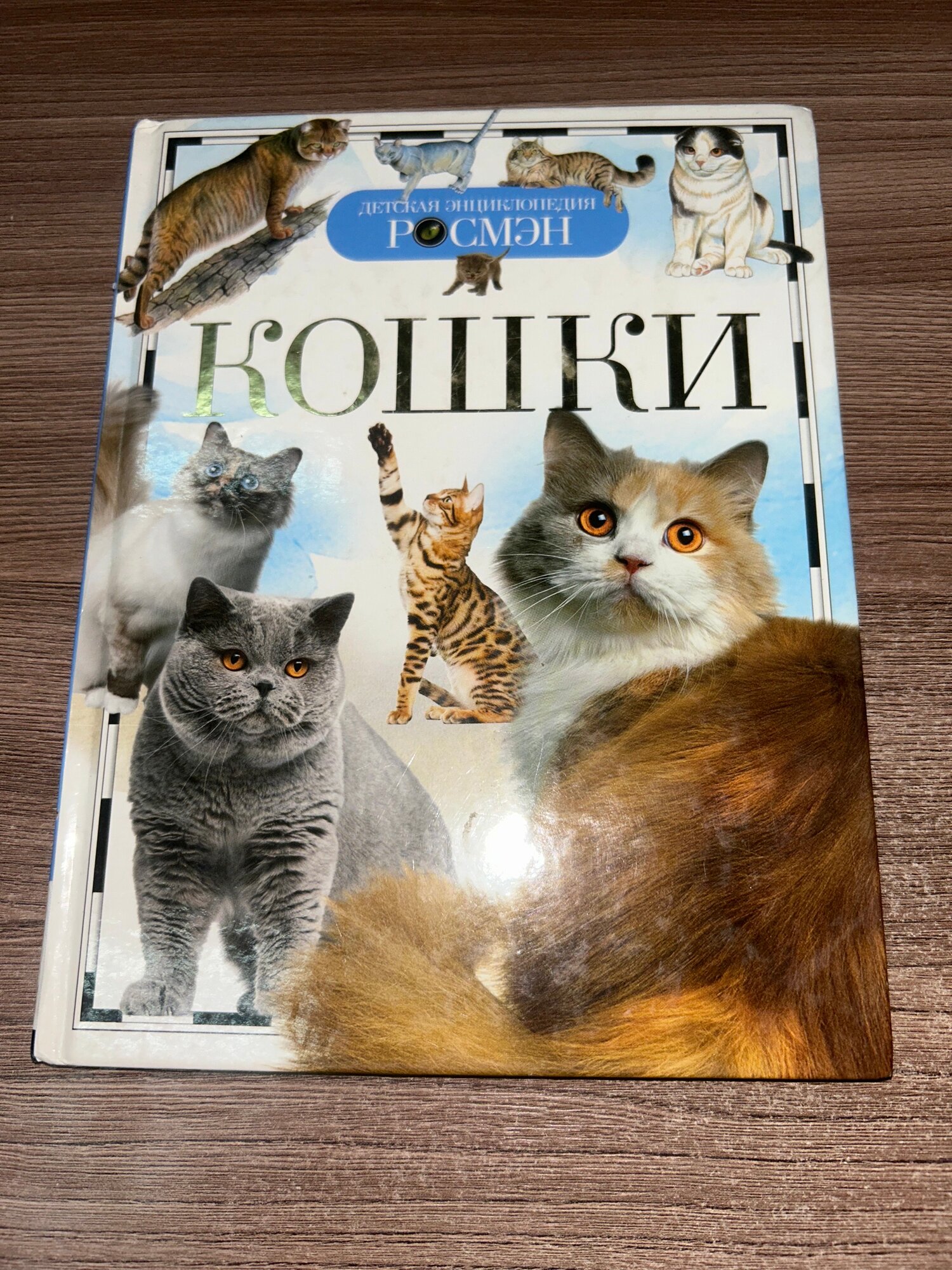 Детская энциклопедия. Кошки