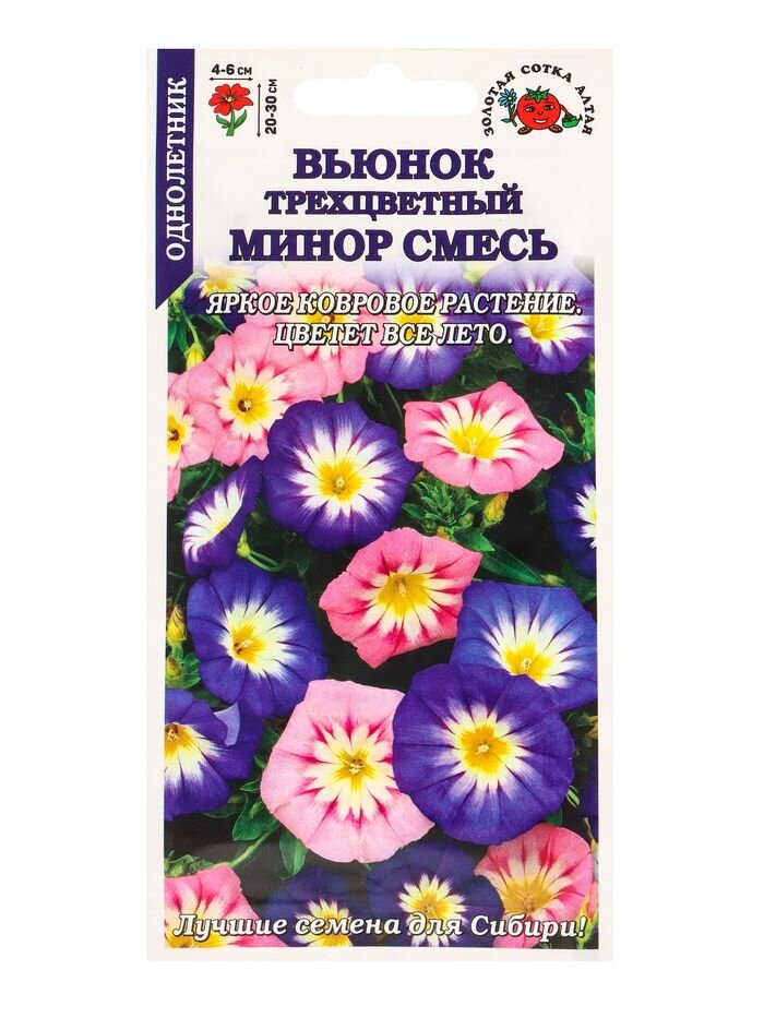 Семена Вьюнок Минор , трехцветный, смесь, 0.5 г, Золотая Сотка Алтая
