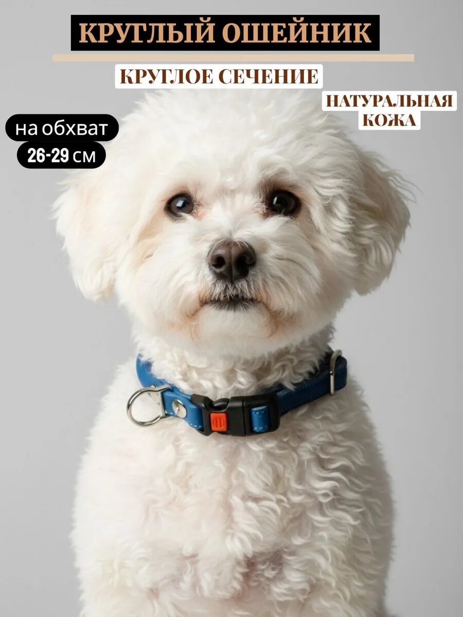 Dogbond Ошейник для шпица круглый кожаный 26-29 см