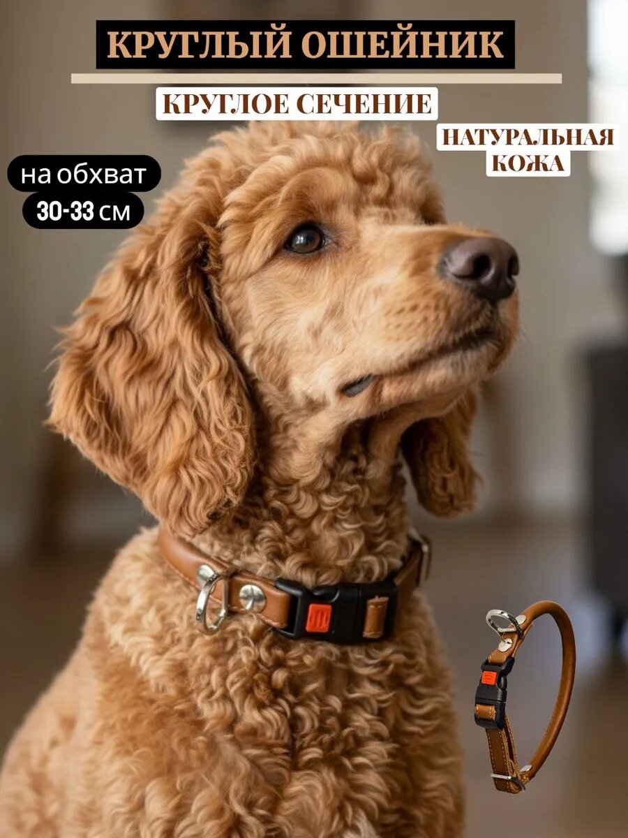 Dogbond Ошейник для шпица круглый кожаный 30-33 см