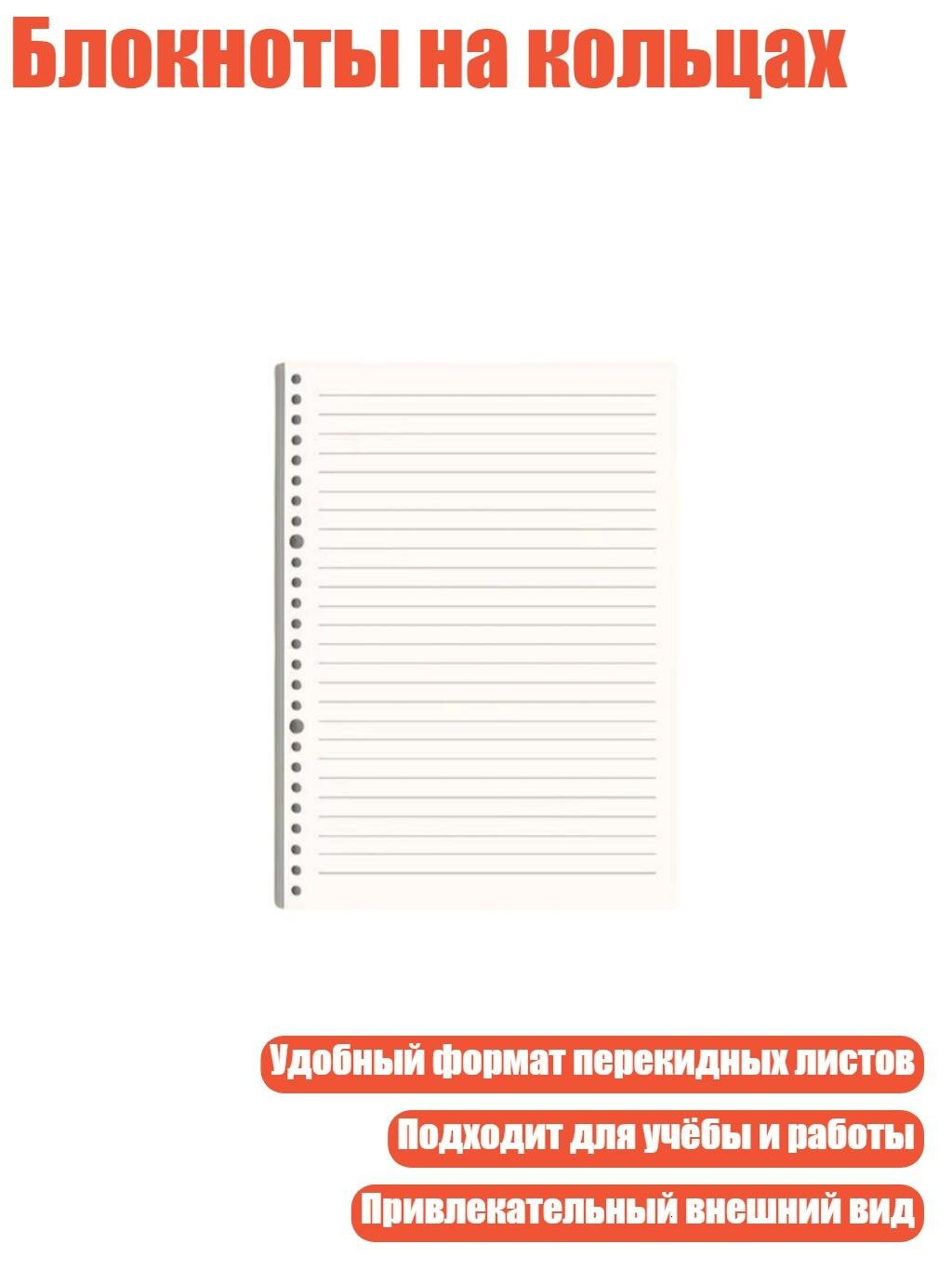 Блокноты на кольцах, Заменитель формата А5 120 Р