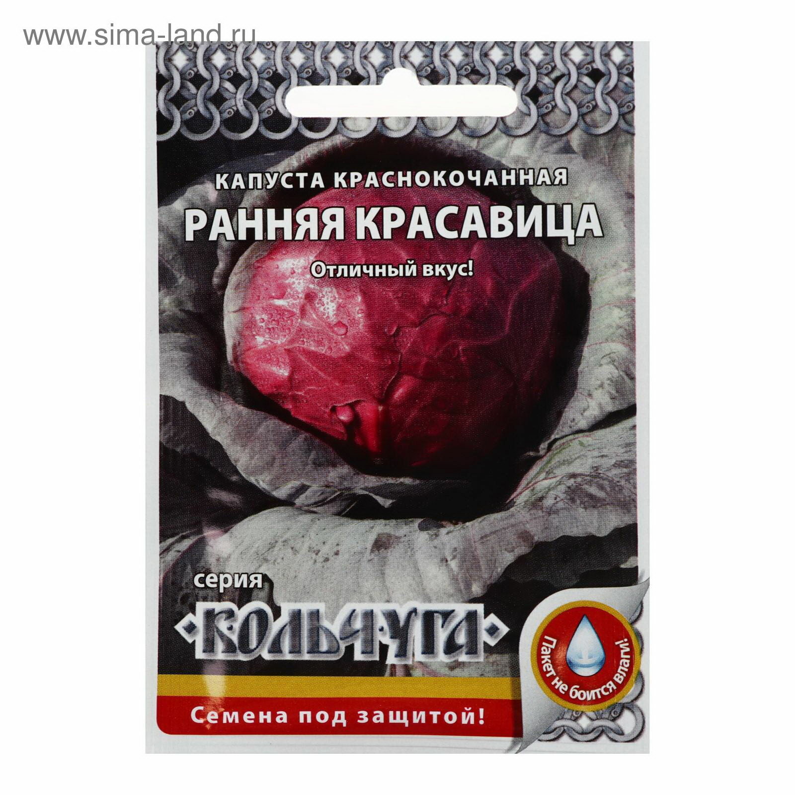 Семена Капуста краснокочанная "Ранняя красавица", серия Кольчуга NEW, 0.5 г, 3 шт.