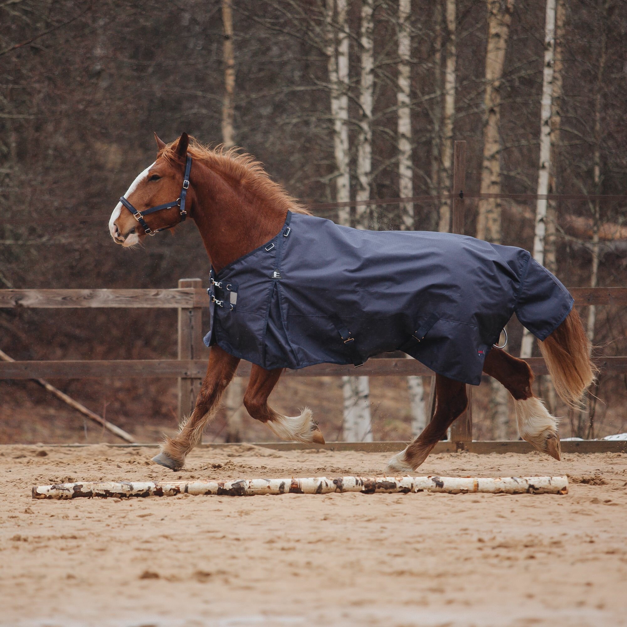 Попона для лошади прогулочная дождевая без капора 1200 den (размер 135) без утеплителя
