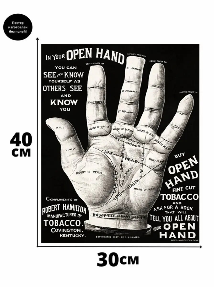Постер рука ладонь линии судьбы