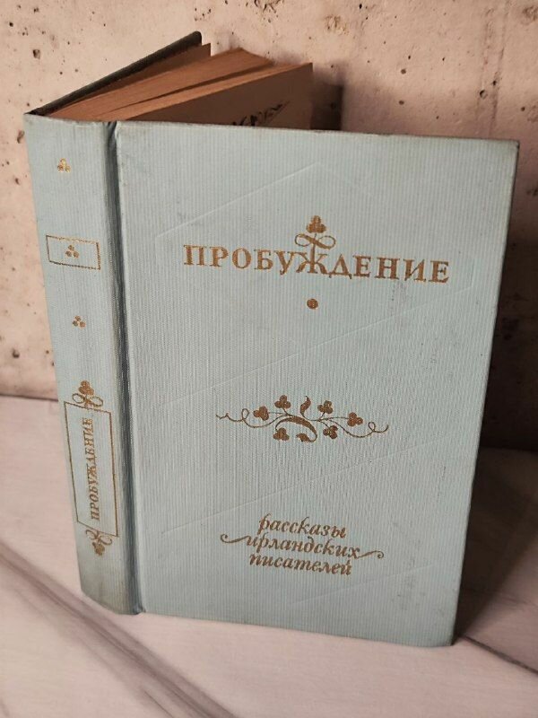 Пробуждение. Рассказы ирландских писателей