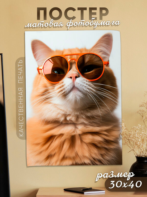 Постер Кот в очках (15) 30х40