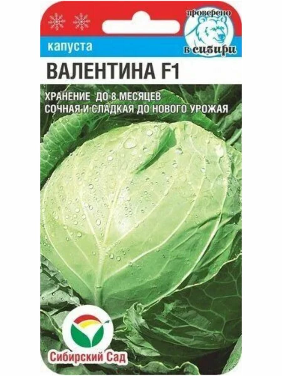 Семена капусты белокочанная Валентина F1 15 шт, сочная и сладкая, хранится до нового урожая