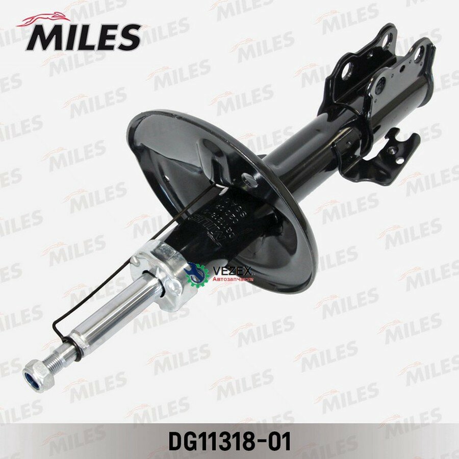 MILES DG11318-01 Амортизатор TOYOTA CAMRY V30 08/01-06/03 пер. лев. газ. (TRW JGM9232T) DG11318-01