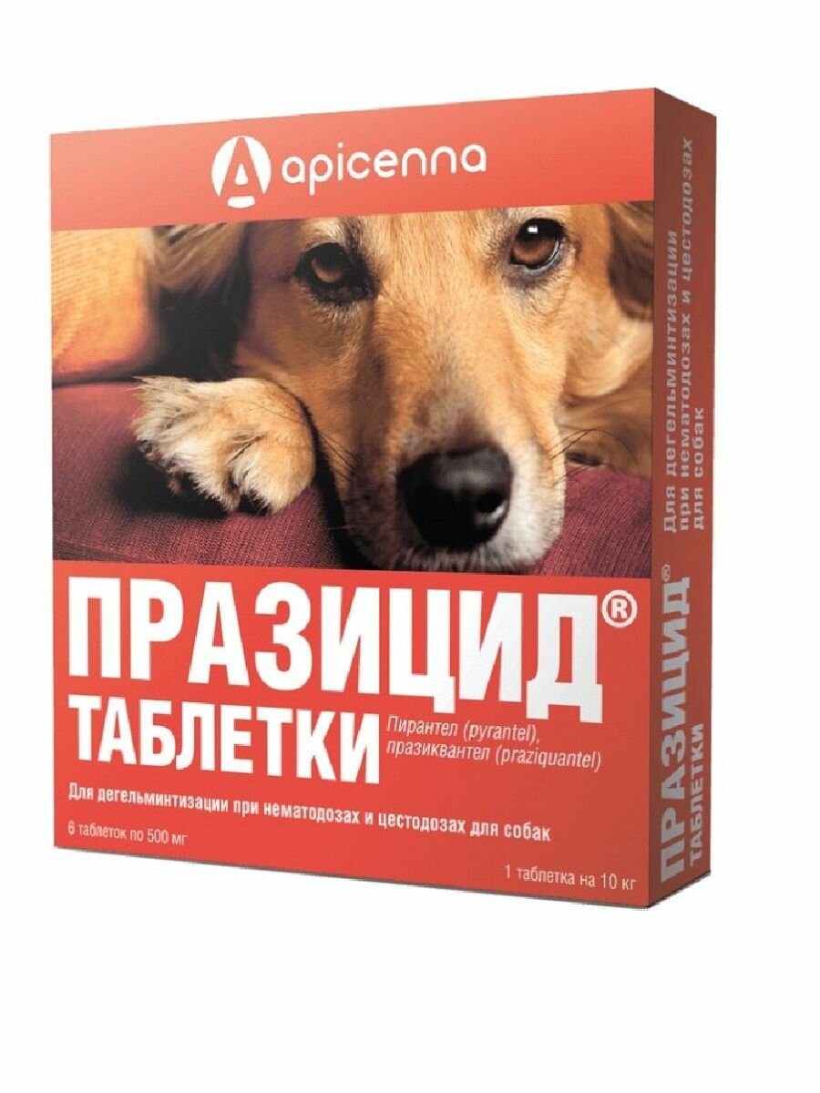 Апиценна Празицид антигельминтик для собак 6 таблеток — фото 1