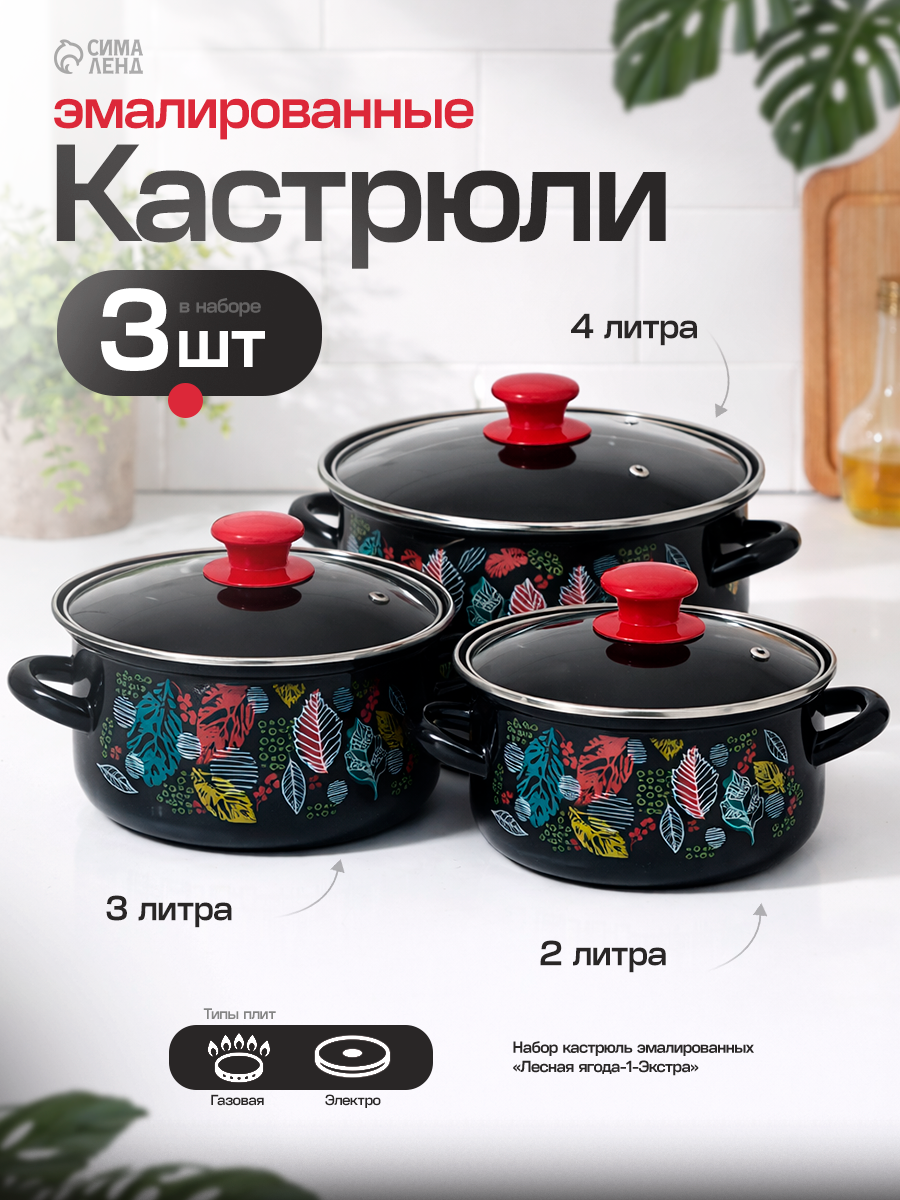 Набор кастрюль эмалированных «Лесная ягода-1-Экстра», цвет чёрный