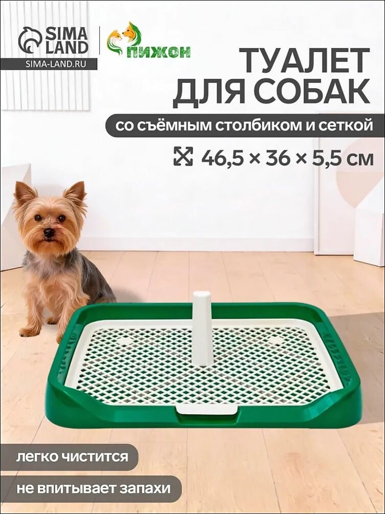 Туалет для собак, 46.5 36 5.5 см, со съёмной решеткой и столбиком, зелёный