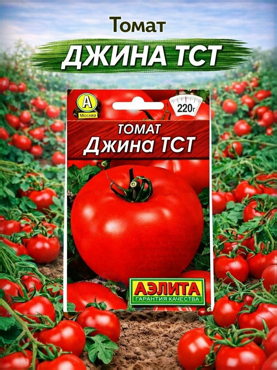 Семена томата Джина ТСТ, среднеспелый крупноплодный сорт, плоды до 220 г, семена помидоров для открытого грунта и теплиц