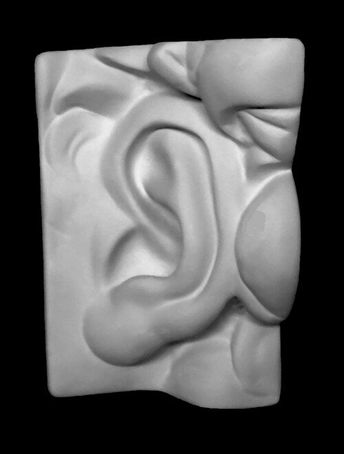 Анатом. деталь Ухо Давида левое, 17 х 26 см, Экорше, артикул 20-211