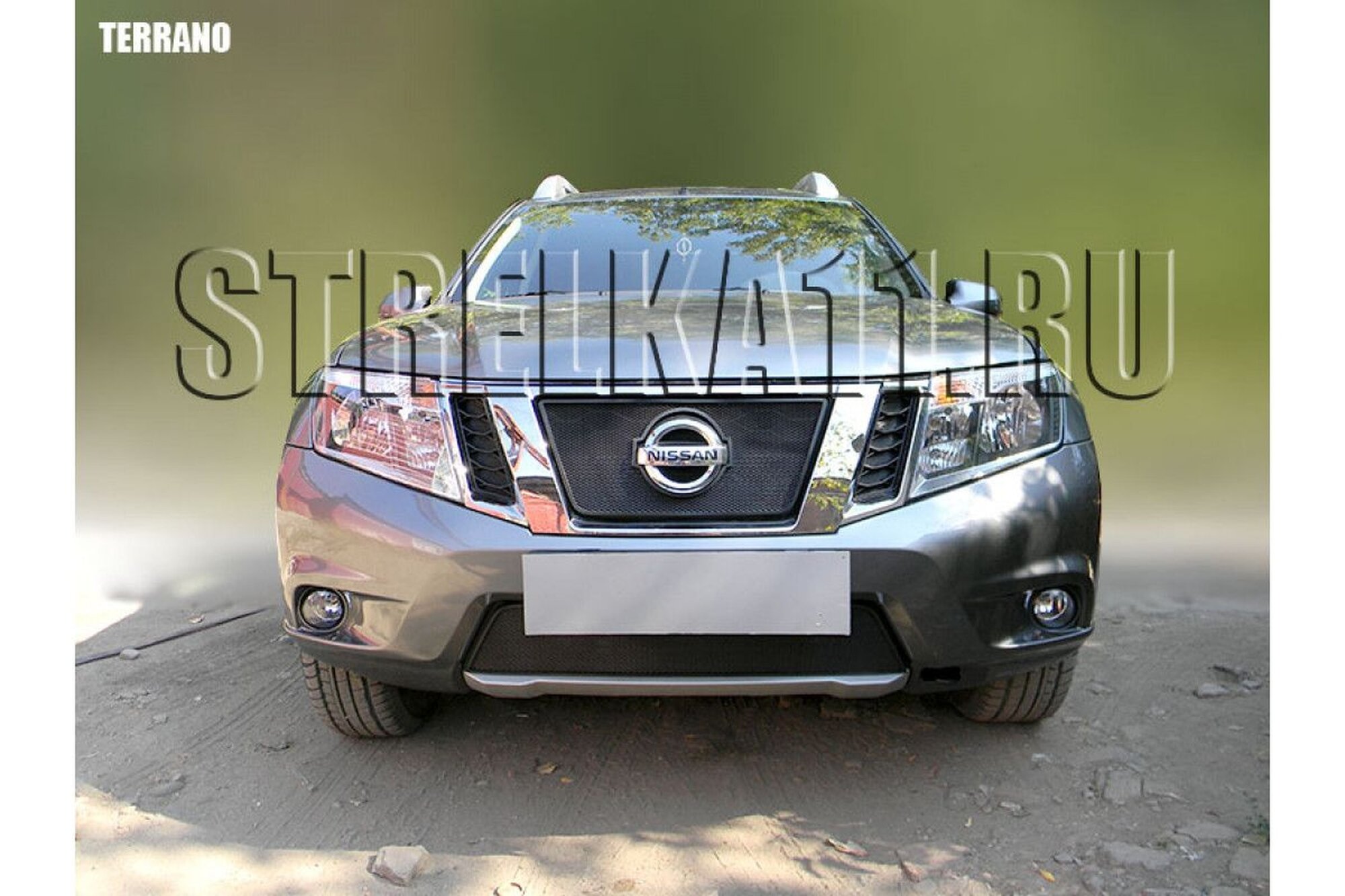Защитная сетка радиатора с окантовкой и защелками для Nissan Terrano 2014-2020 (III), 2шт