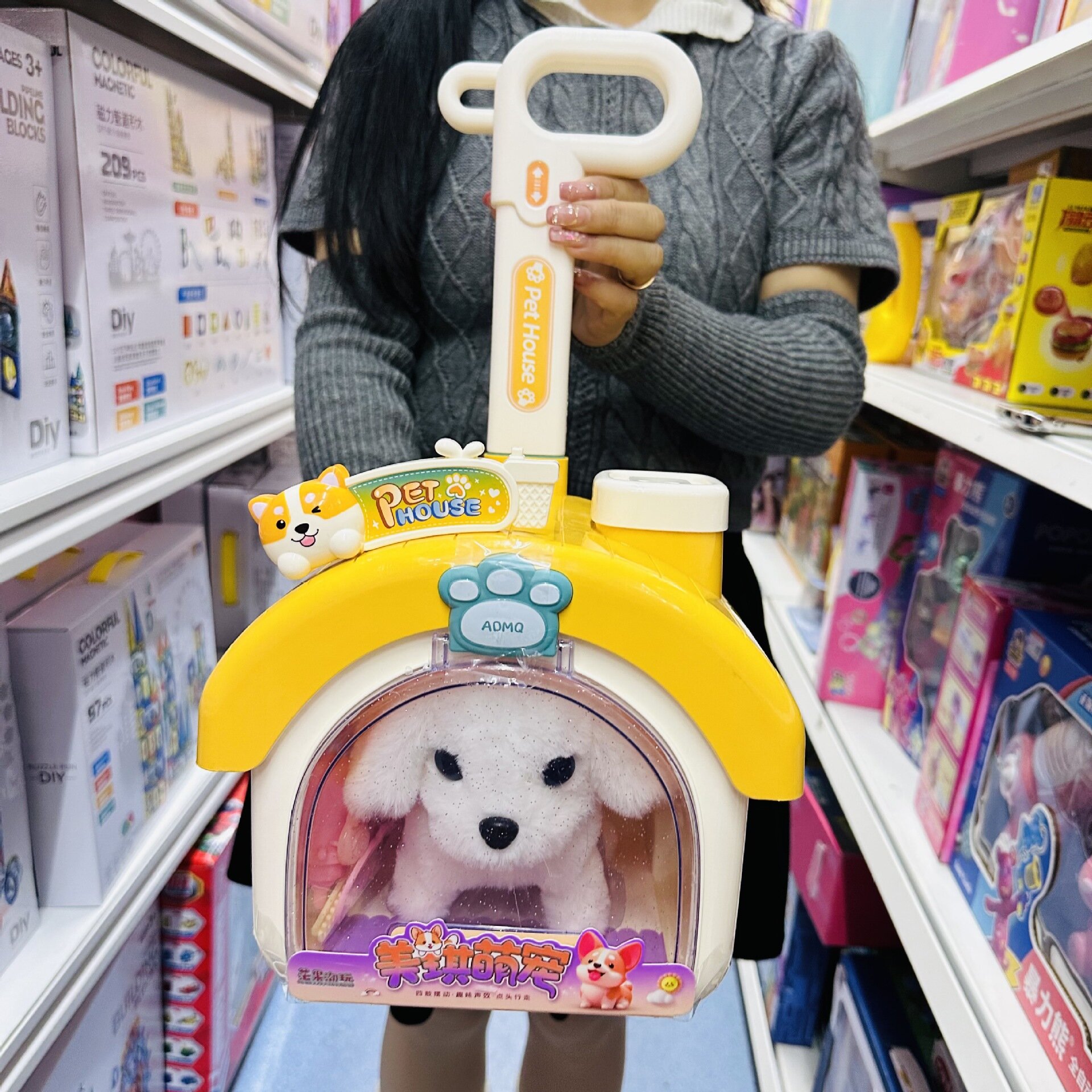 Супер милая игрушка для детей Super Shengmang: электрическая плюшевая собака, кролик, чемодан-тележка, маленький домик, игрушечный домик для питомца.