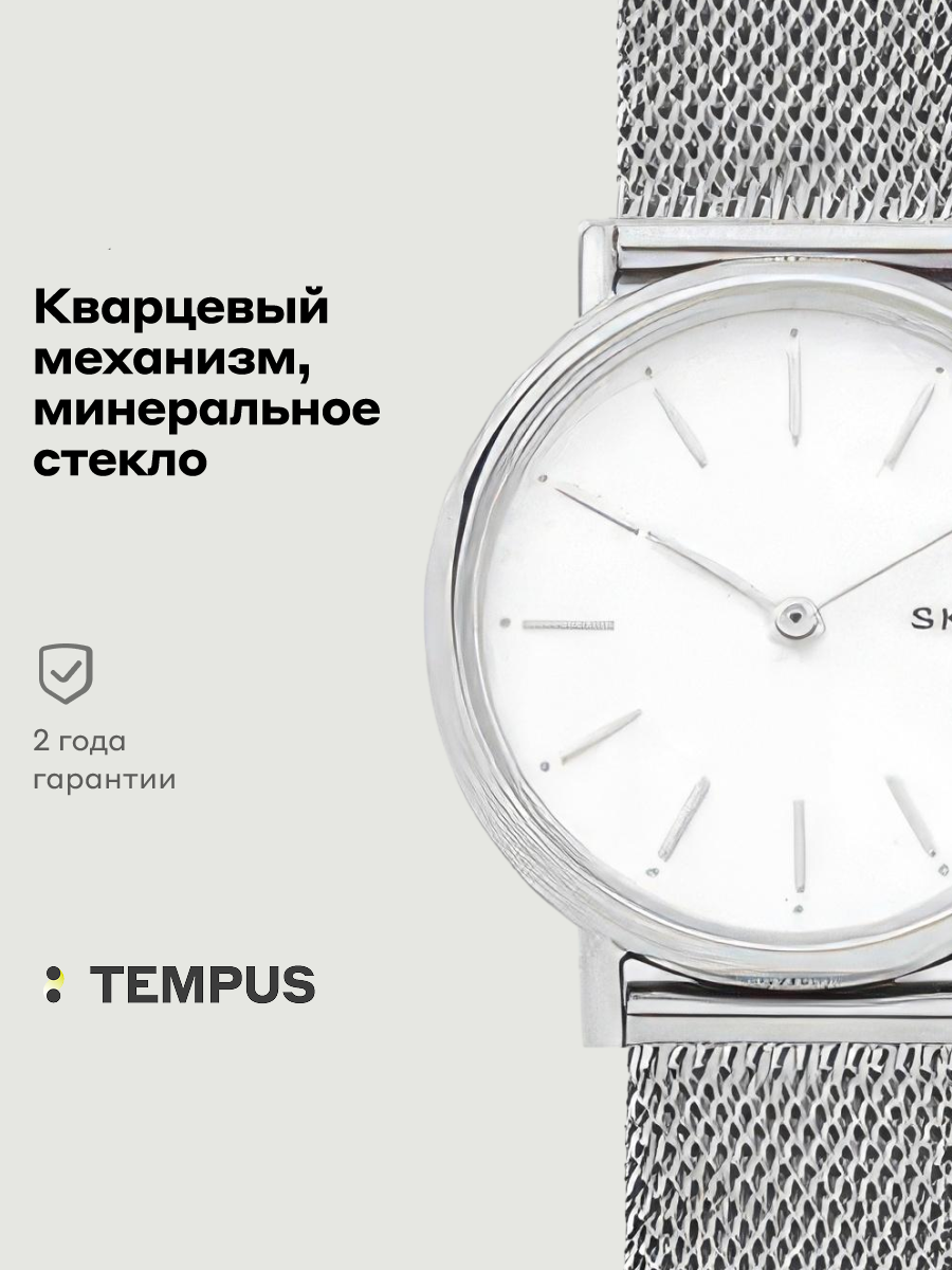 Наручные часы SKAGEN Mesh