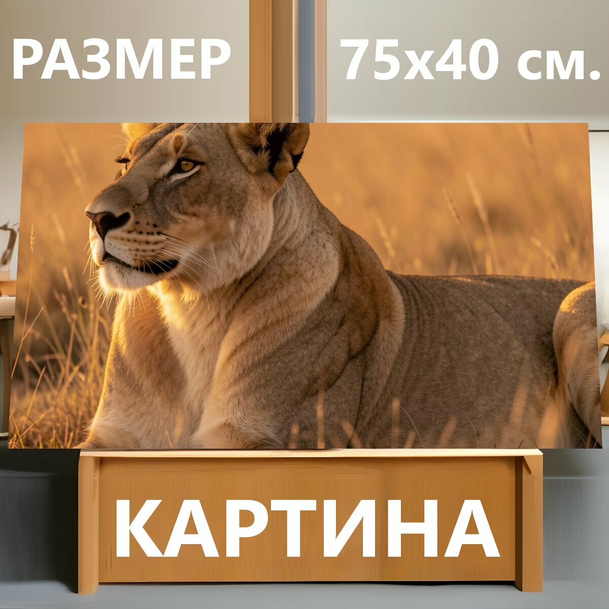 Картина на холсте "Львица в саванне на закате. Хищная кошка отдыхает в высокой сухой траве африканской равнины, мягкий золотой свет, теплые." на подрамнике 75х40 см. для интерьера