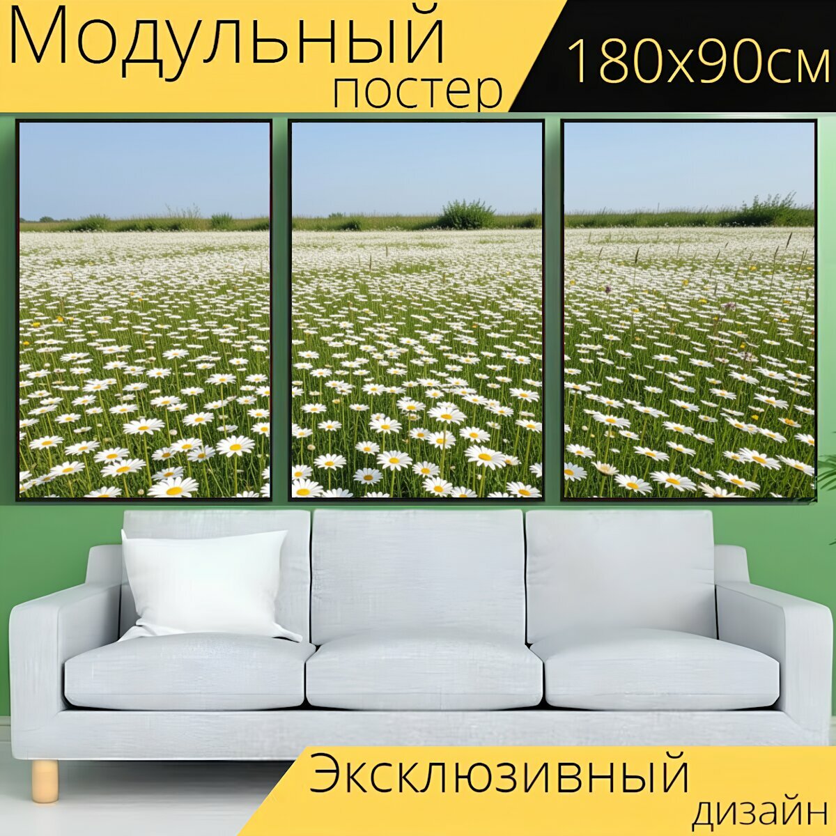 Модульный постер "Поле ромашек под голубым небом. Летний природный пейзаж с бескрайним цветущим лугом, усыпанным белыми цветами с." 180 x 90 см. для интерьера на стену в тубусе