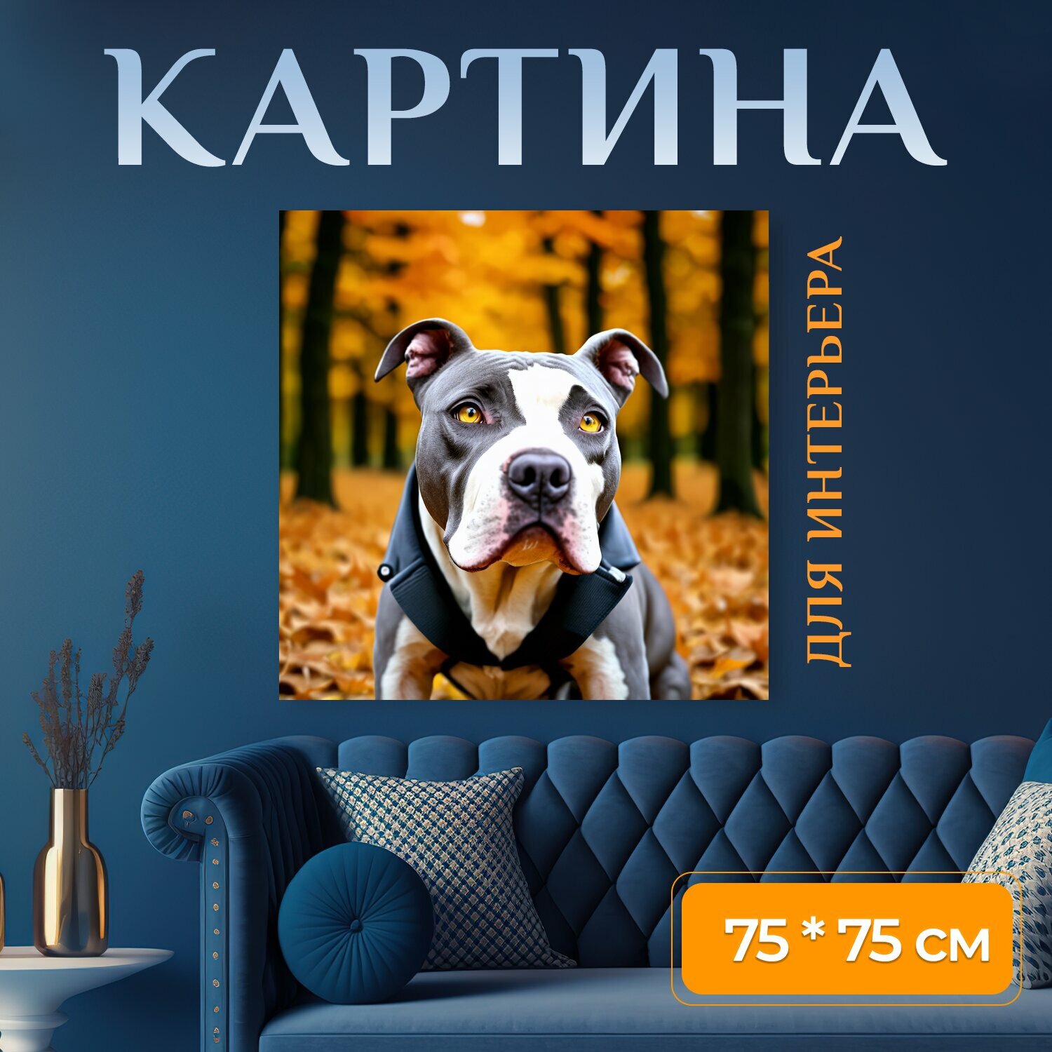 Картина на холсте "Крупный план головы собаки породы питбуль с серо-белым окрасом, виляющими ушами и пронзительными желто-коричневыми глазами." на подрамнике 75х75 см. для интерьера