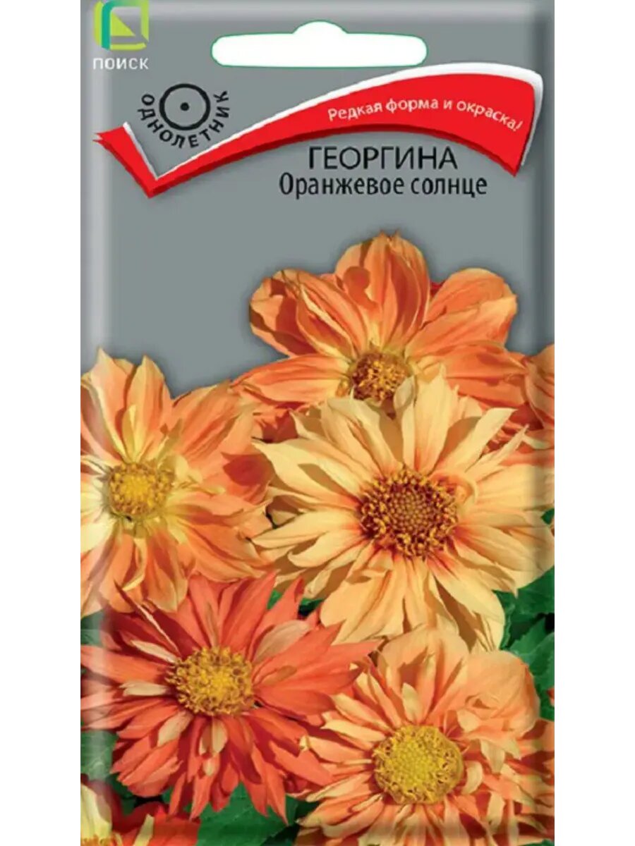 Семена Георгина Оранжевое солнце