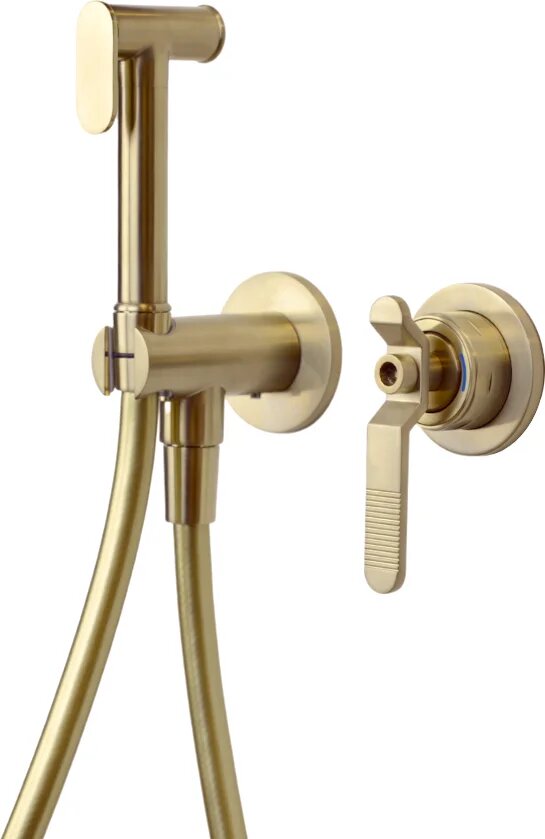 Гигиенический душ Bronze de Luxe 1760's 3253CG встраиваемый, скрытого монтажа, со смесителем, матовый, латунь, рычажный, смеситель для биде