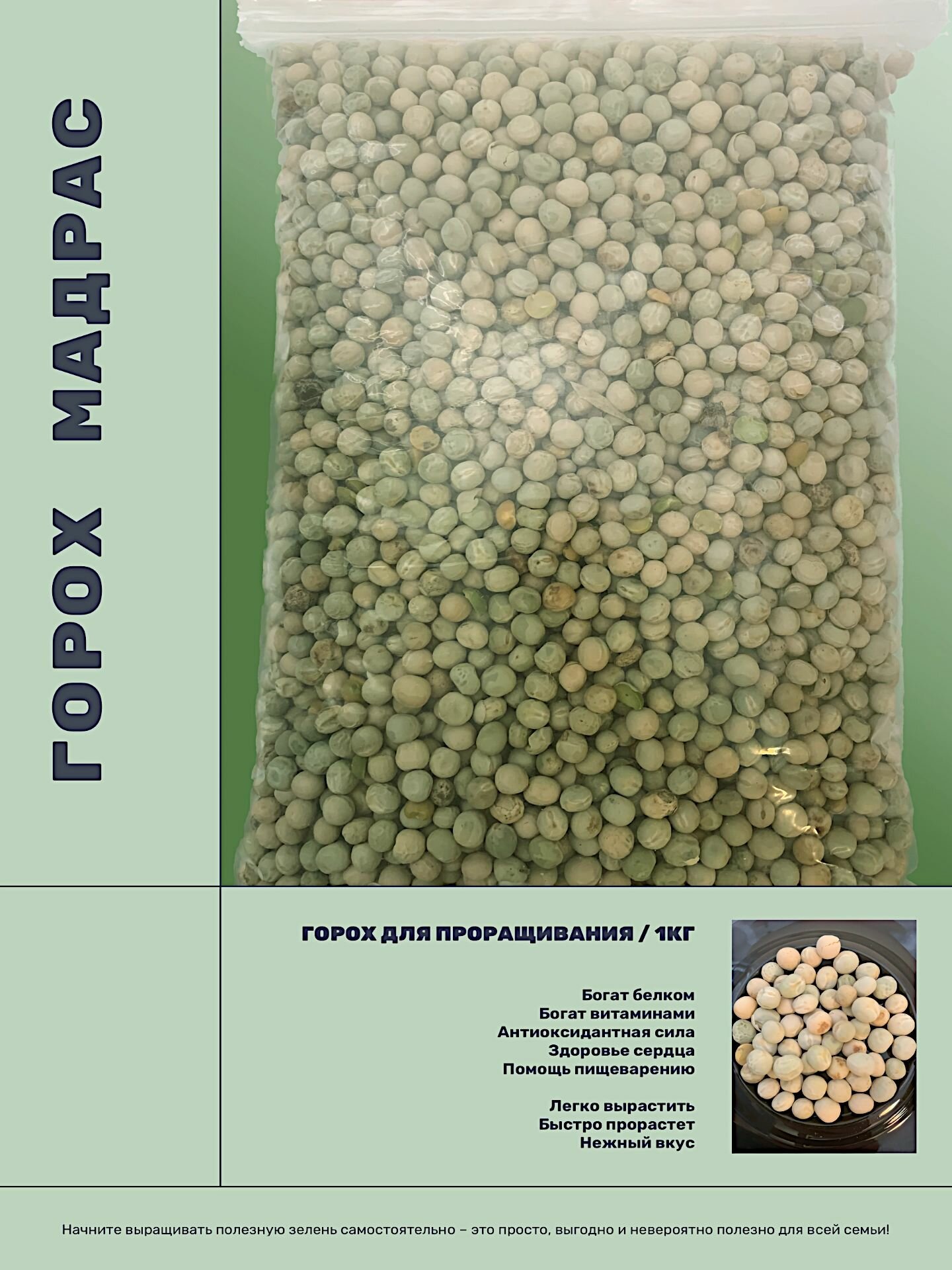 Горох для проращивания, сорт Мадрас, 1 кг