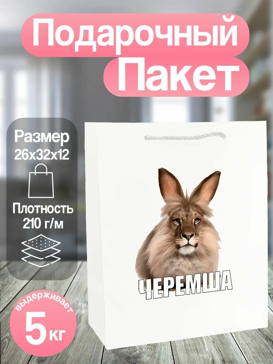 Пакет подарочный Черемша мем, упаковка для подарка, 26х31 см