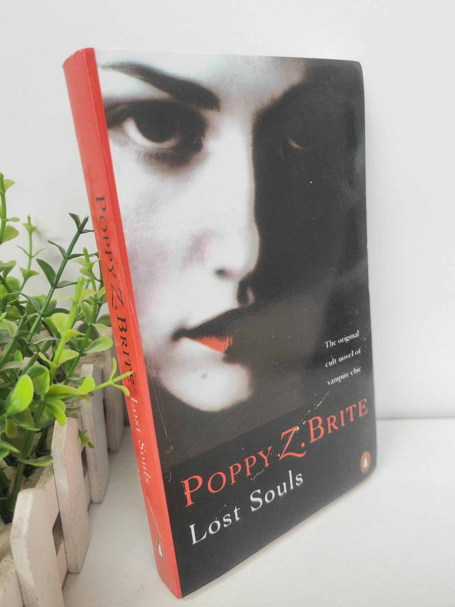 Poppy z brite lost souls Reprinted books