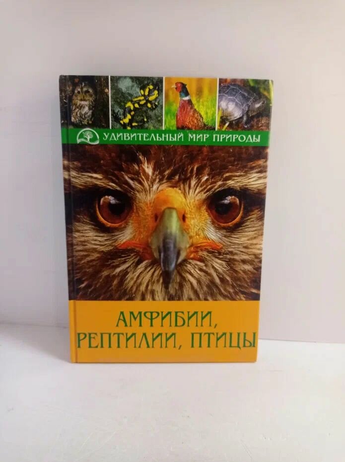 Амфибии, рептилии, птицы