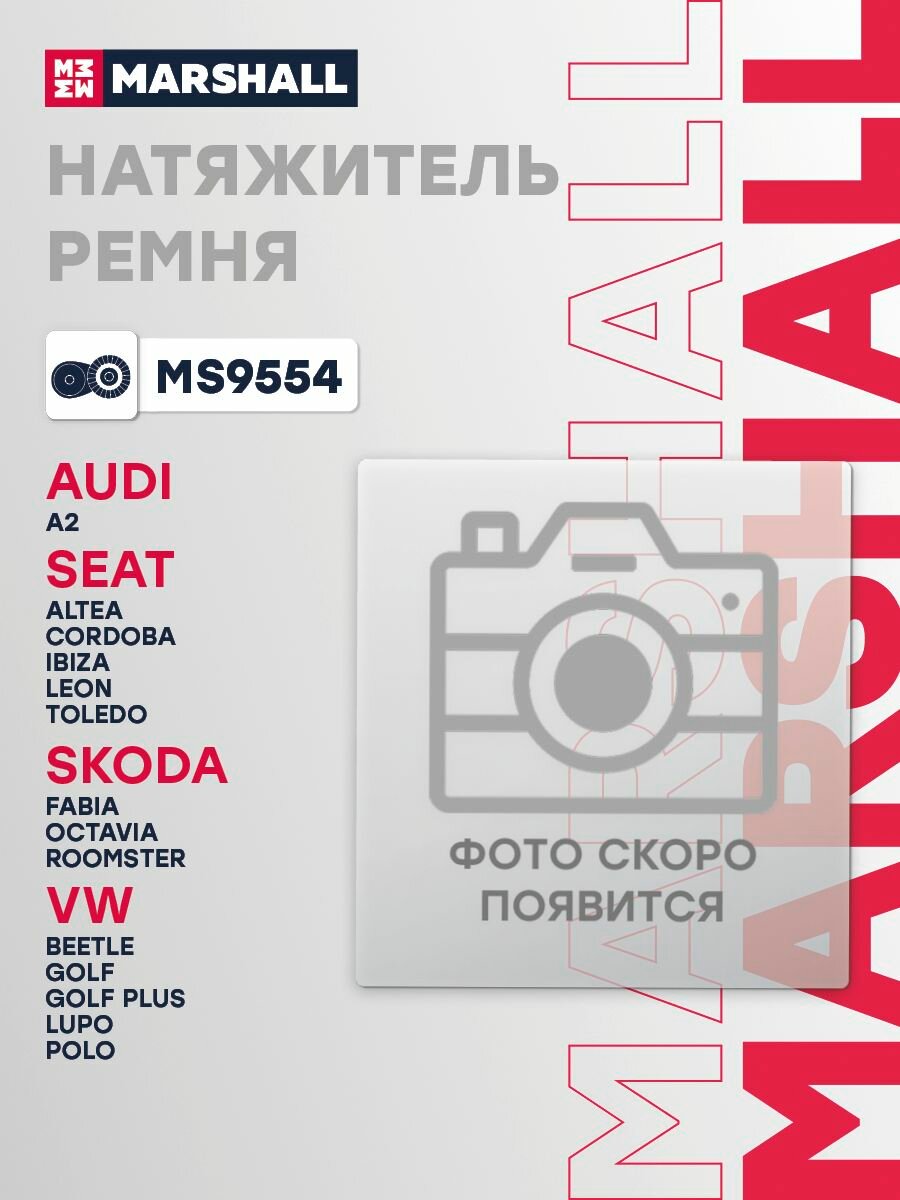 Натяжитель ремня Seat Сеат IBIZA, LEON, TOLEDO, Skoda Шкода Fabia Фабия, Octavia Октавия, Roomster Румстер, Volkswagen VW Фольксваген Bora Бора, Caddy Кэдди, Golf Гольф, Polo Поло 036109243AB