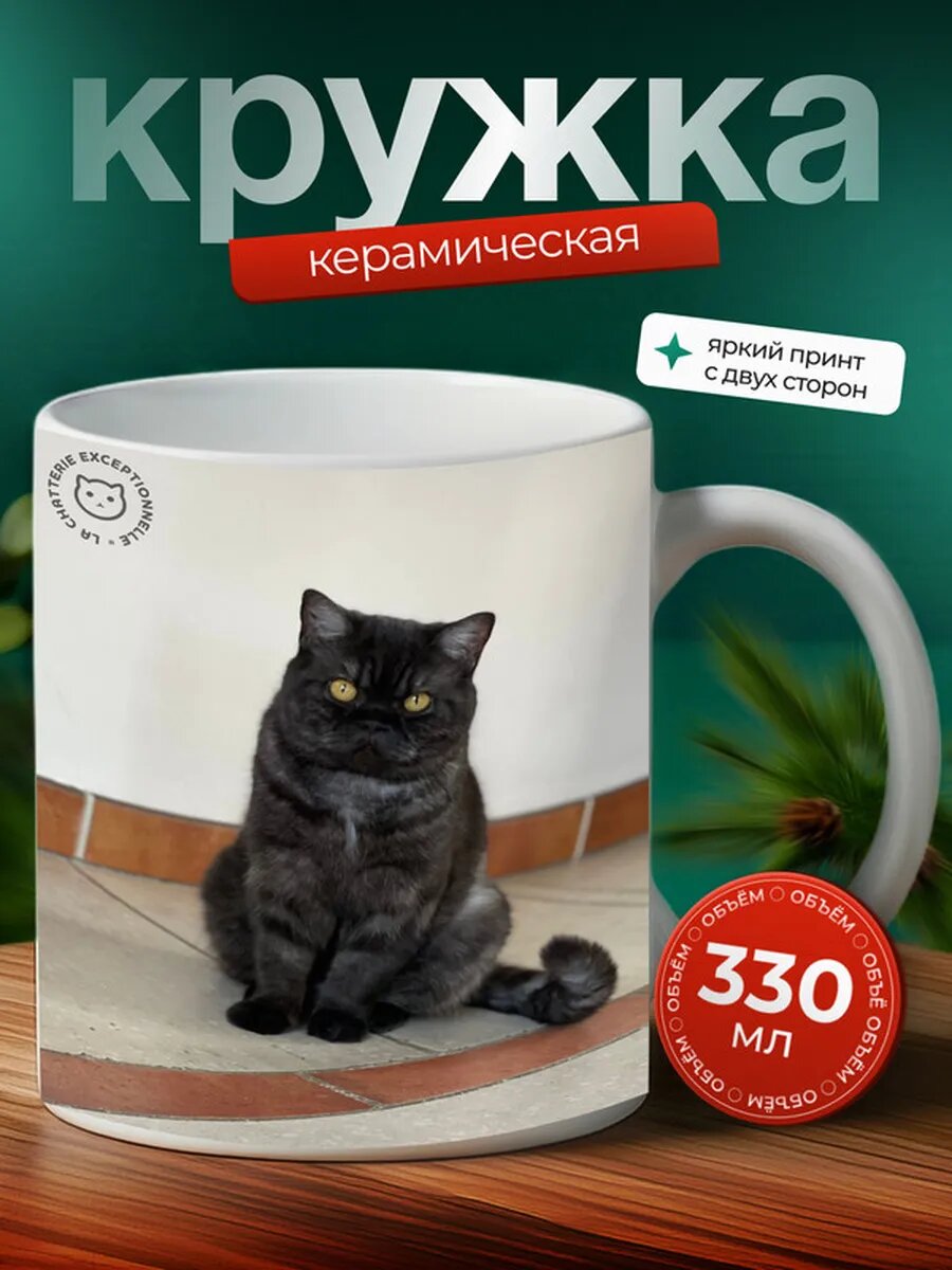 Кружка Камерунский дымчатый кот 3,