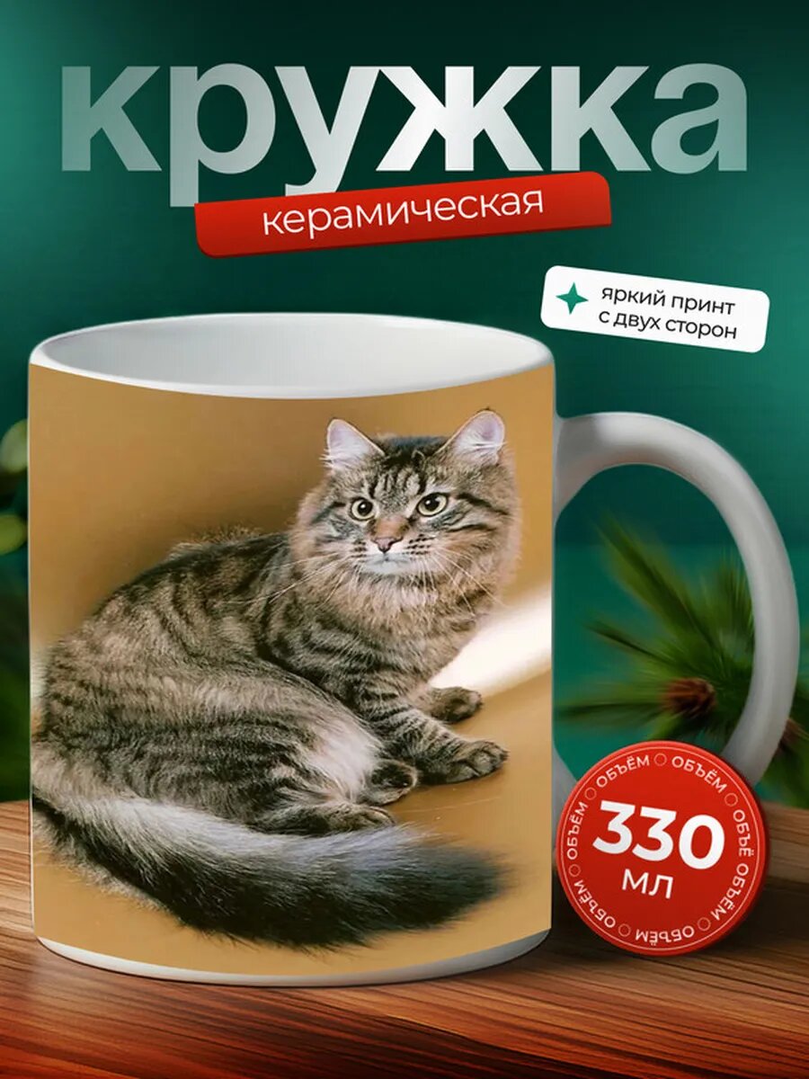 Кружка Закавказский тигровый кот 21,