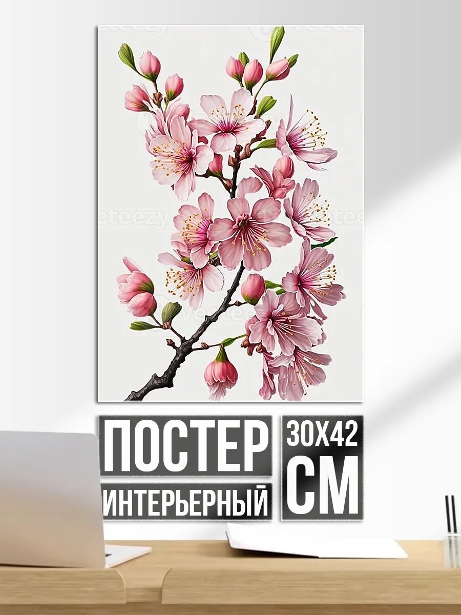 Плакат постер Цветущая сакура