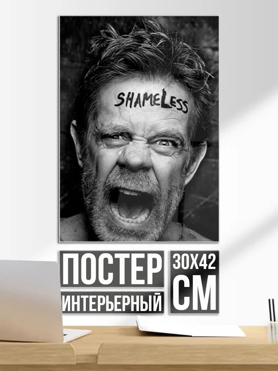 Постер на стену Бесстыжие - Уильям Мэйси