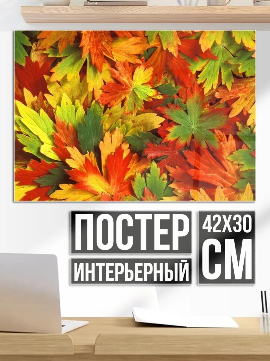 Плакат постер Осенние листья