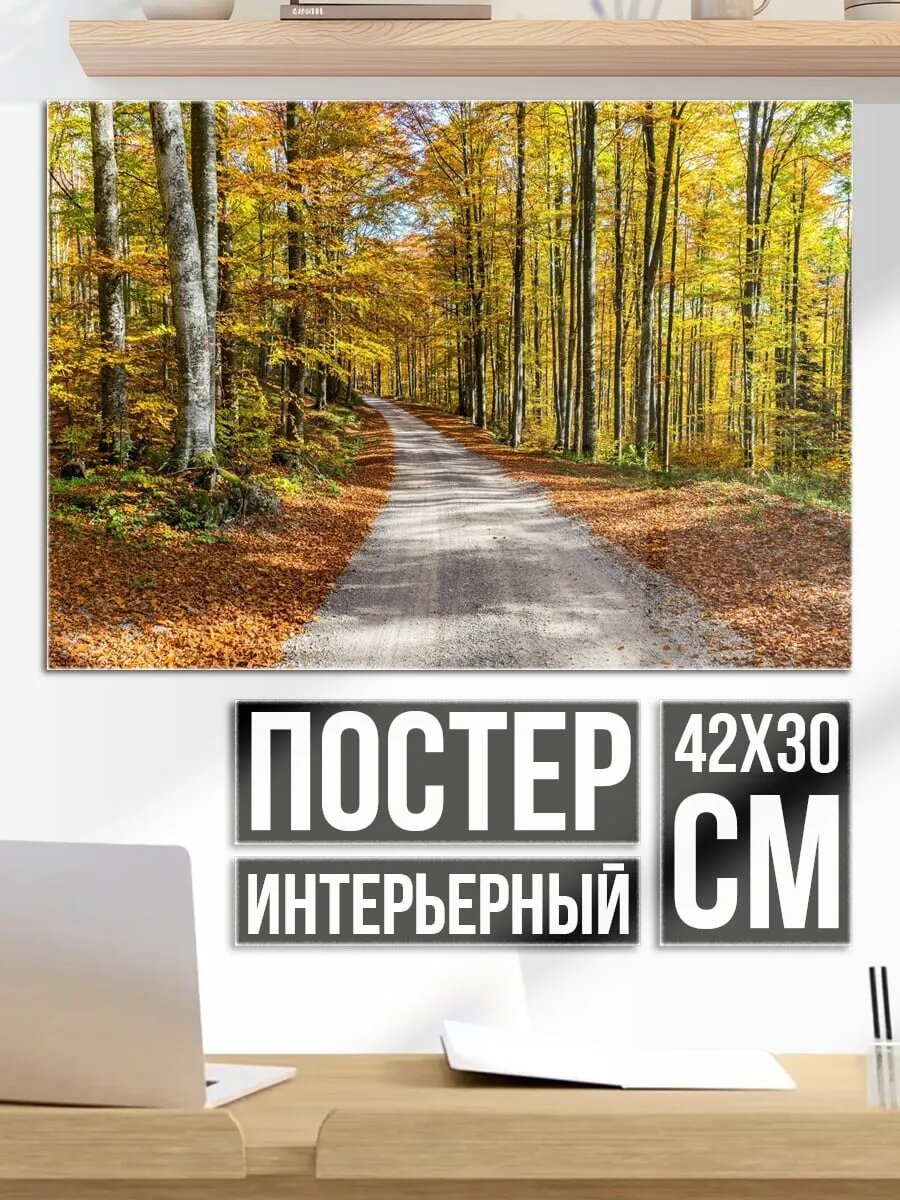Плакат постер Осенняя дорога в лесу